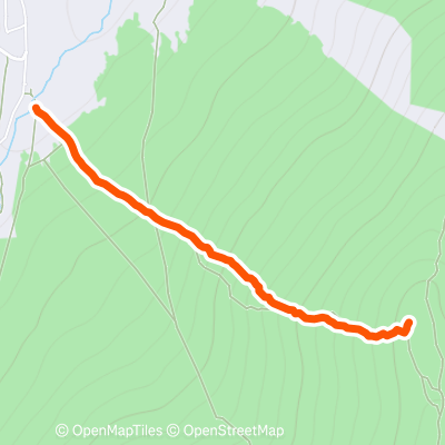 Morning Hike | 1.2 km Hiking Trail on Strava