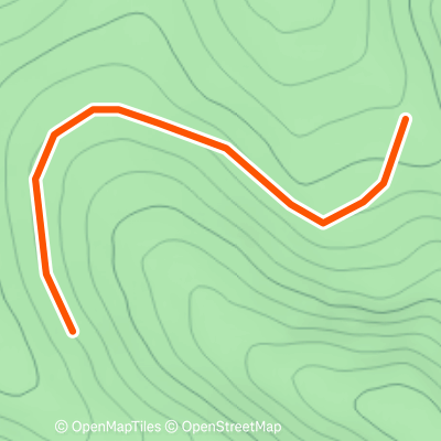 FF | 1.5 km Running Route on Strava