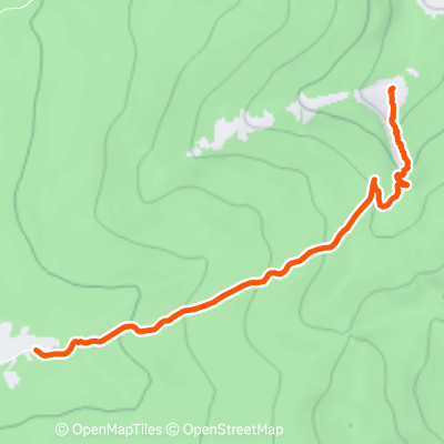 Butler Lodge Trail to The Forehead | 4.8 mi Hiking Trail on Strava