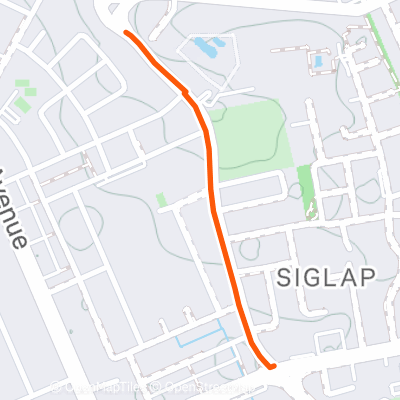 siglap hill | 0.7 km Running Route on Strava