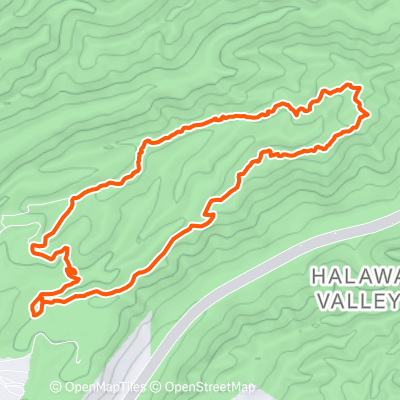Aiea Loop Trail | 4.4 mi Hiking Trail on Strava