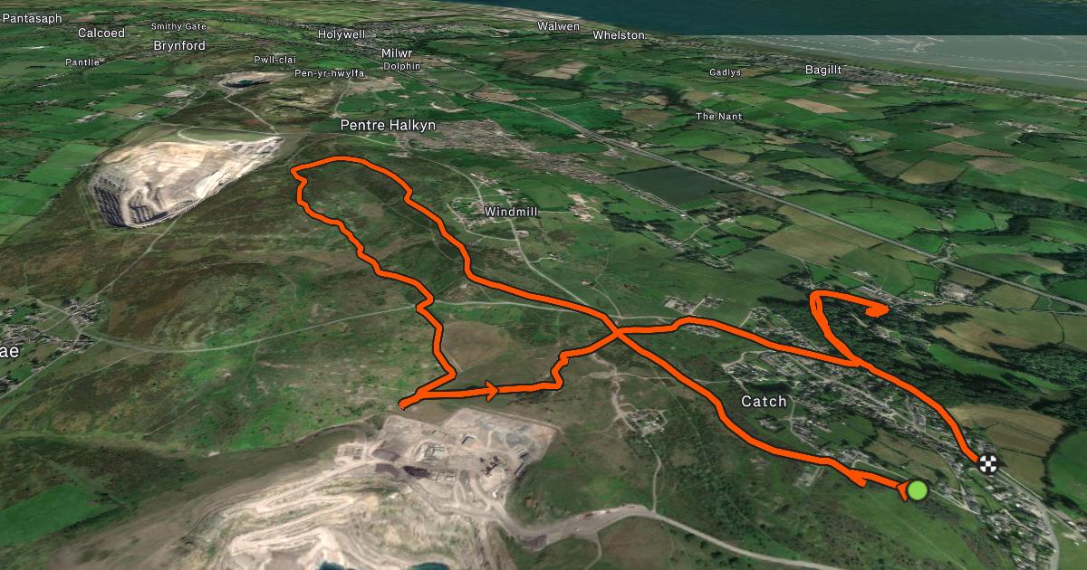 Morning Trail Run | Strava