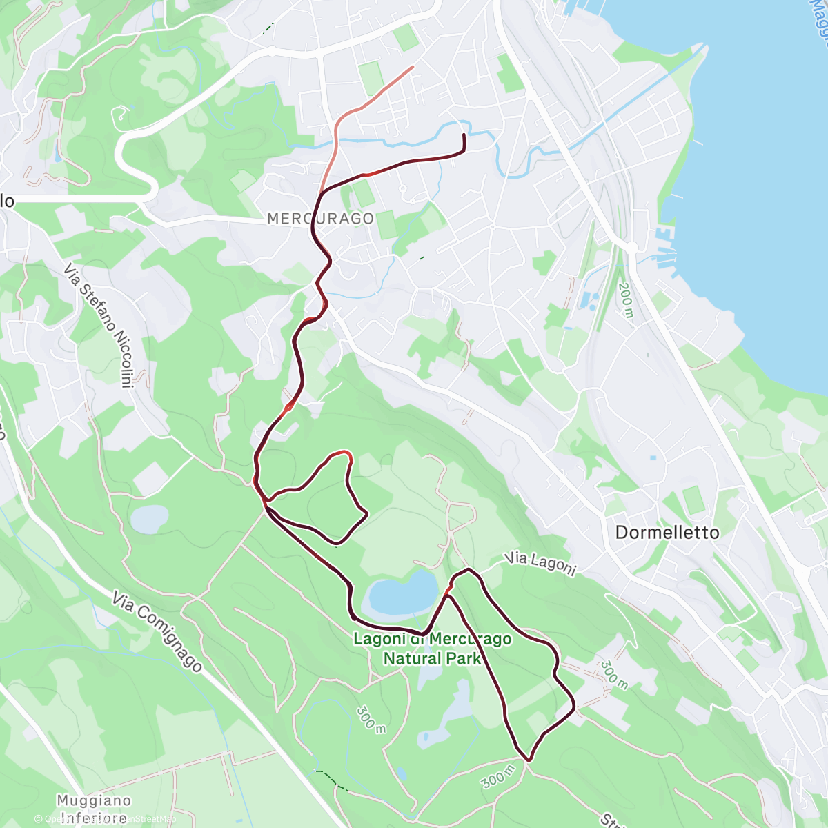 Seba Zan | Strava Runner Profile