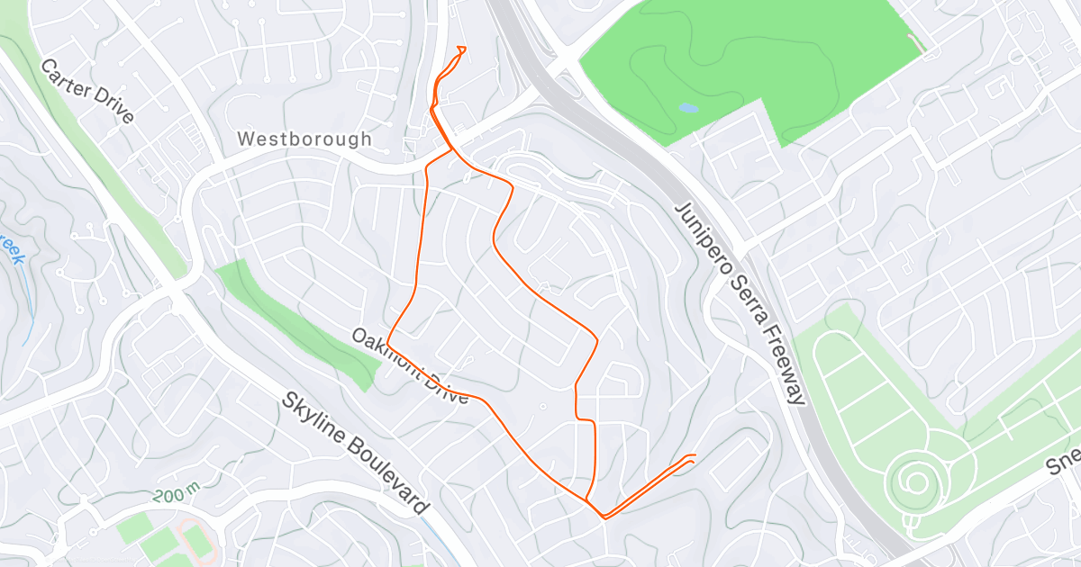 Grocery run(walk) to Safeway | Strava