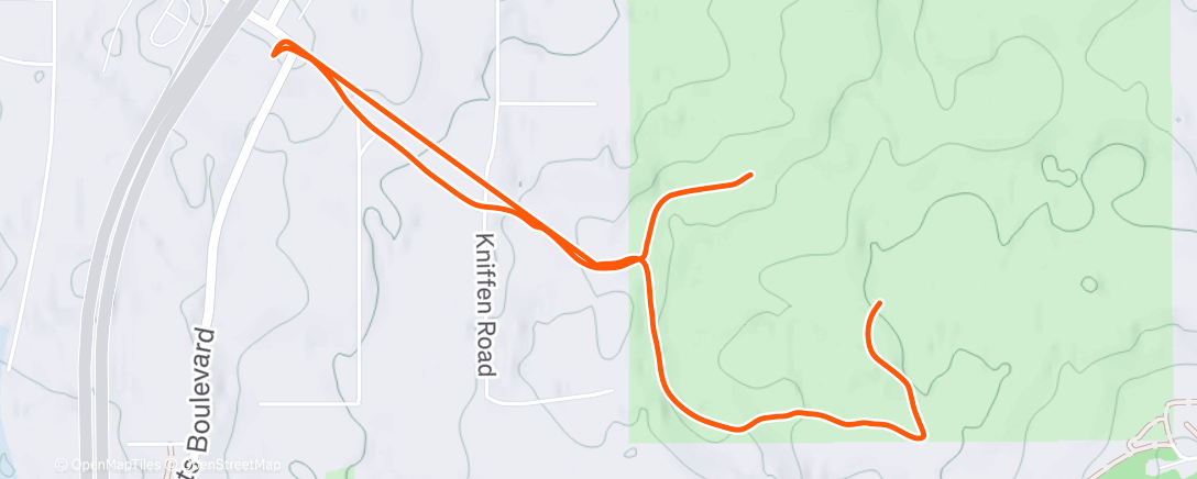 Daria Mantei | Strava Runner Profile