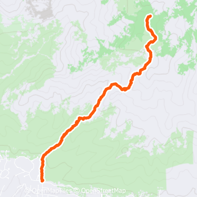 Mount Kimball | 9.2 mi Hiking Trail on Strava