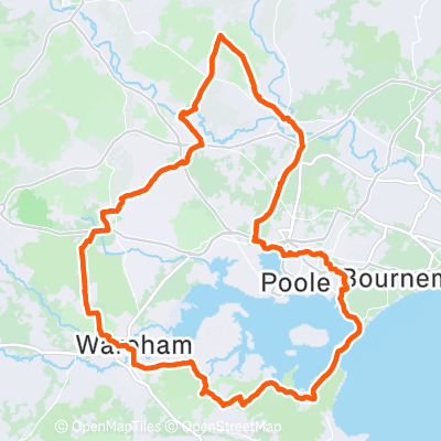 Wareham Forest way test | 71.5 km Mountain Biking Trail on Strava