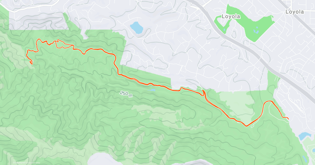 Siya Tree, Satpal Hill. Elapsed Time 2:39:24 | Strava