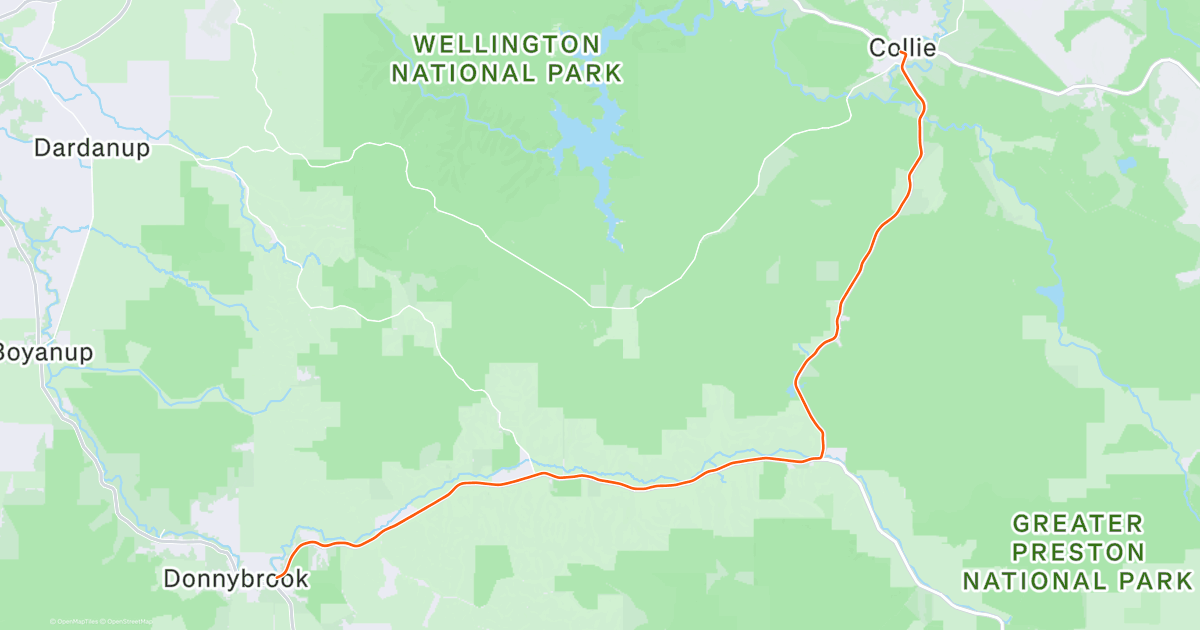 99th Collie to Donnybrook 🏆 | Strava