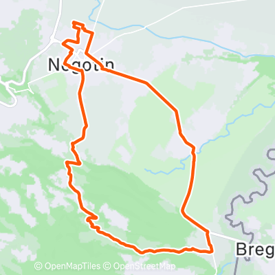Negotin-Mokranje-Negotin | 34.3 km Cycling Route on Strava