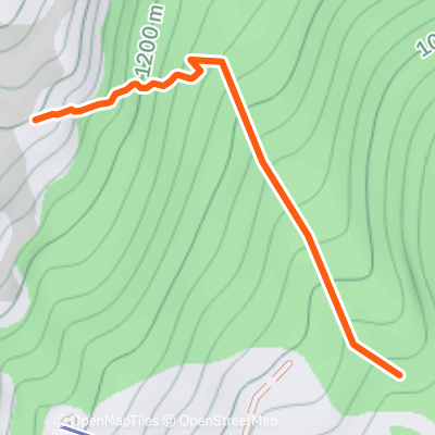 Profanity Chute | 0.6 mi Backcountry Skiing Route on Strava