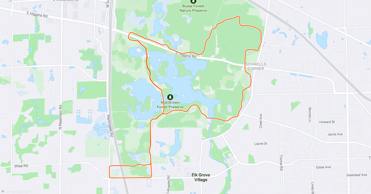 Long Sun Run | Strava