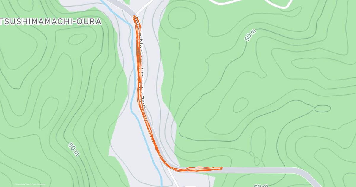 Morning Run | Strava