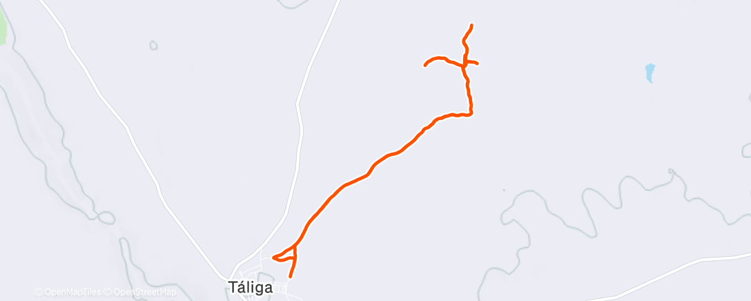 Ana Belen Miranda Lobato | Strava Runner Profile