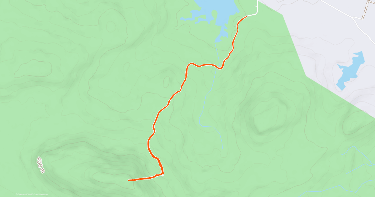 Morning Trail Run | Strava