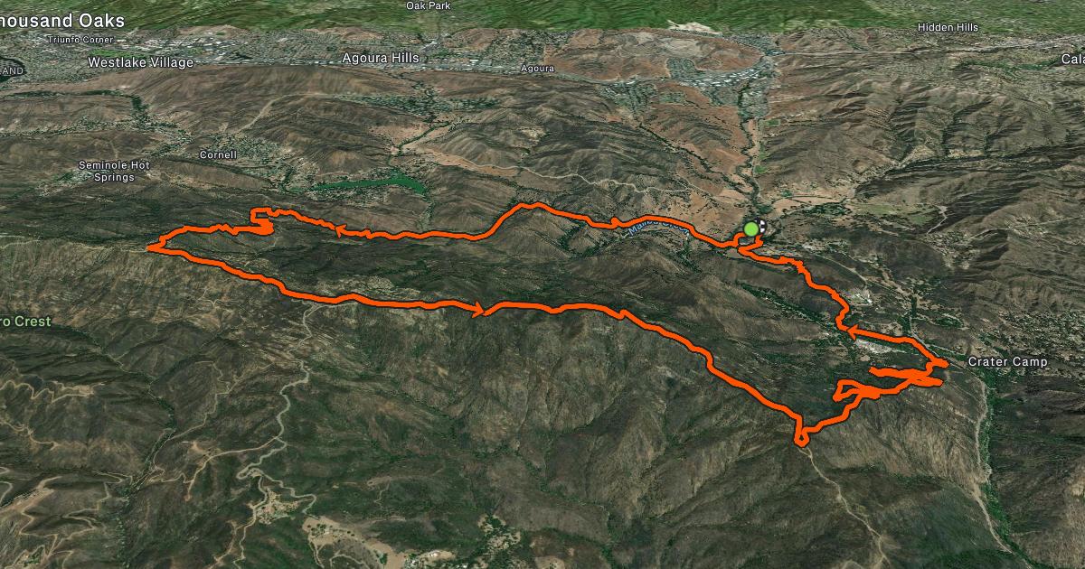 Morning Trail Run | Strava