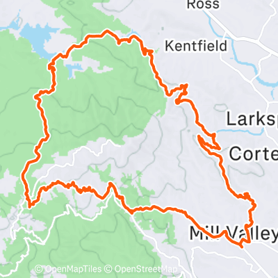 Justin's Mt Tam loop | 18.7 mi Trail Running Route on Strava