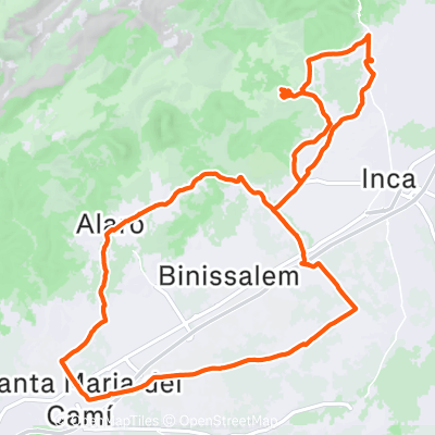 Caimari to Mancor de la Vall (Puig de Santa Llucia (climb) & Alaro ...