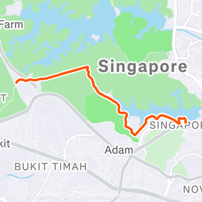 Bukit Timah to MacRitchie Reservoir | 4.6 mi Running Route on Strava