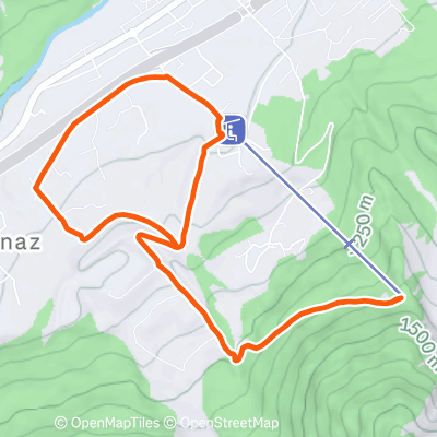 Glacier des Bossons | 3.5 mi Hiking Trail on Strava