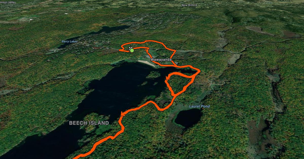 7 50s hill climbs | Strava