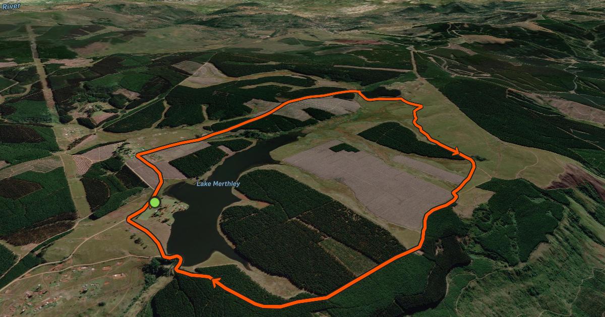 Morning Trail Run | Strava