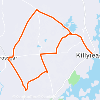 Killyleagh 25k | 25.2 km Cycling Route on Strava