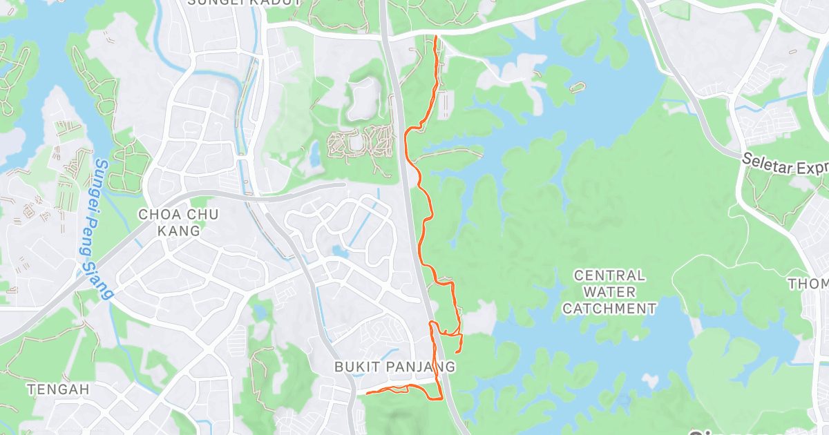 Morning Trail Run | Strava