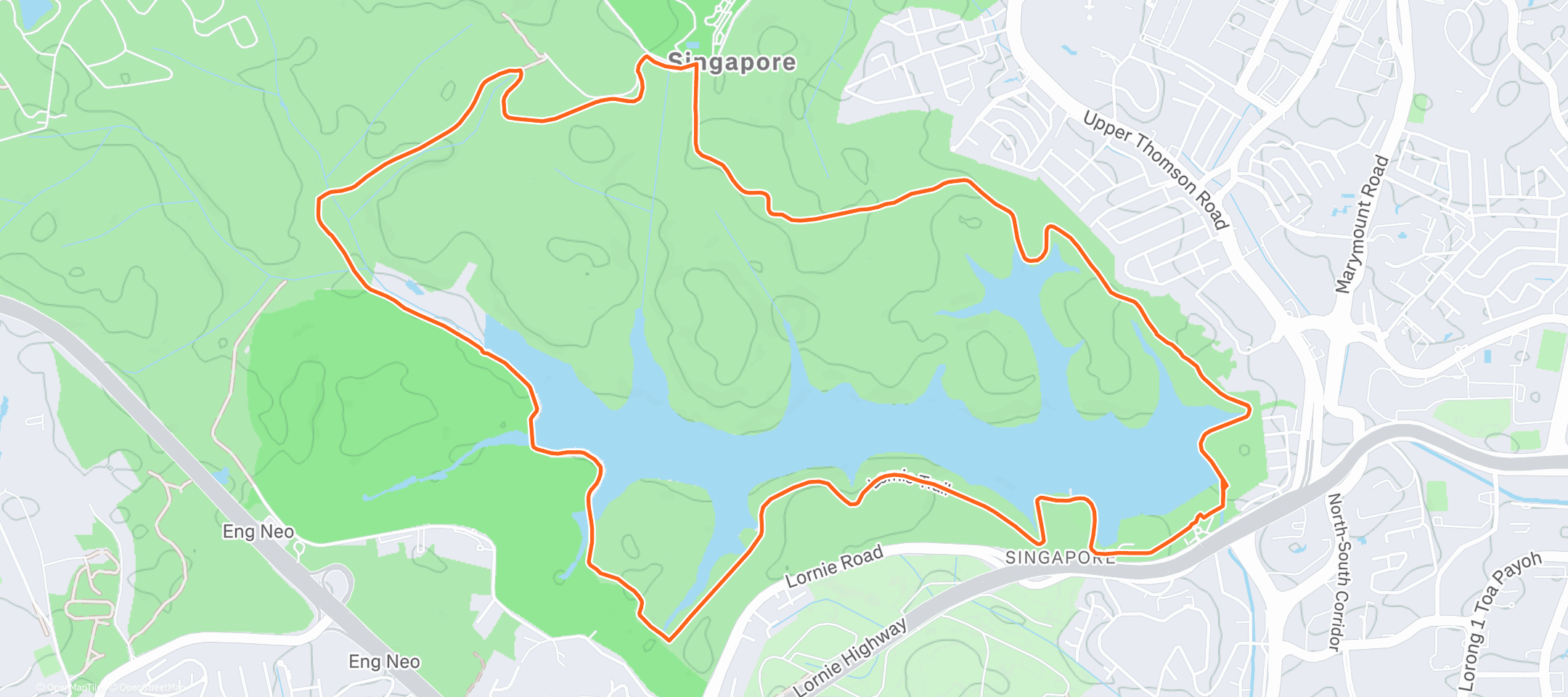 MacRitchie Reservoir Loop | 11.1 mi Running Route on Strava