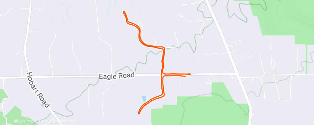 Dana Rini | Perfil de corredor de Strava