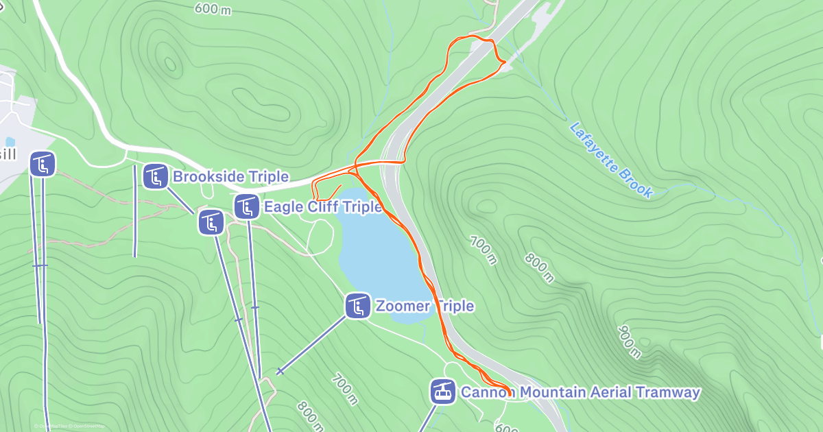 WMT Olympic Run | Strava