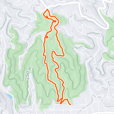 Runyon Canyon Loop (Runyon Canyon Road and West Ridge Loop) | 3.0 mi ...