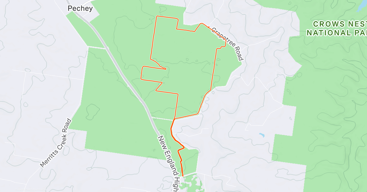 Friday arvo forest ramble | Strava