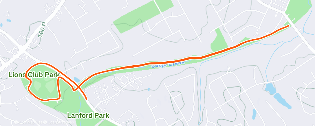 Kaleb Tesfaye | Strava Runner Profile