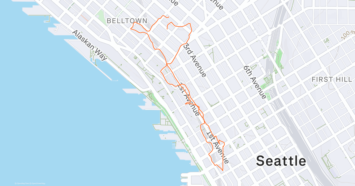 Night Walk | Strava
