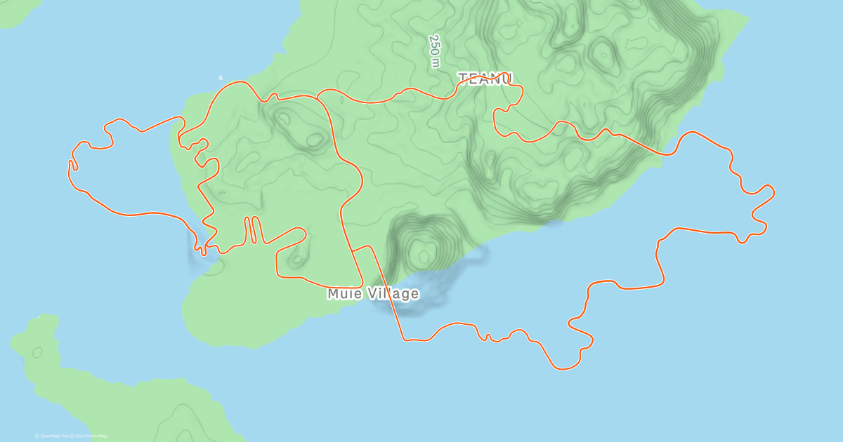 Zwift - Triple Flat Loops in Watopia | Strava
