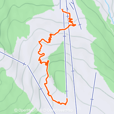 Blue Velvet | 3.2 mi Mountain Biking Trail on Strava