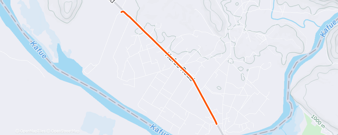 Edward Mwale | Strava Runner Profile