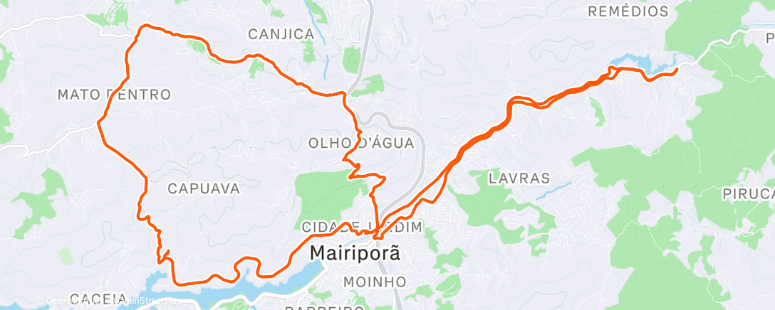 Cizote Molteni Racing 🟧⬛ | Perfil de ciclista de Strava