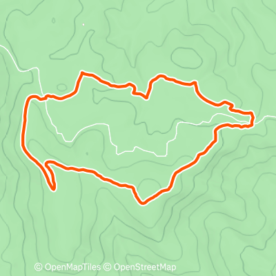 Springer Mountain Loop | 4.0 mi Hiking Trail on Strava