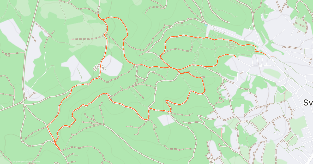 Morning Trail Run | Strava
