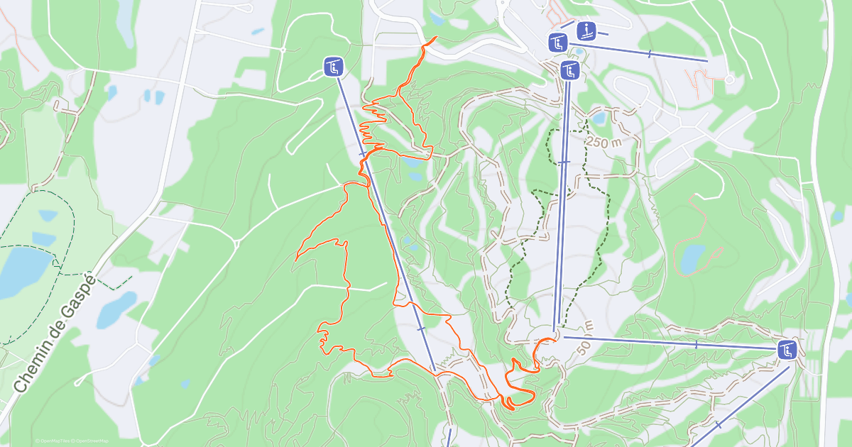 Morning Trail Run | Strava