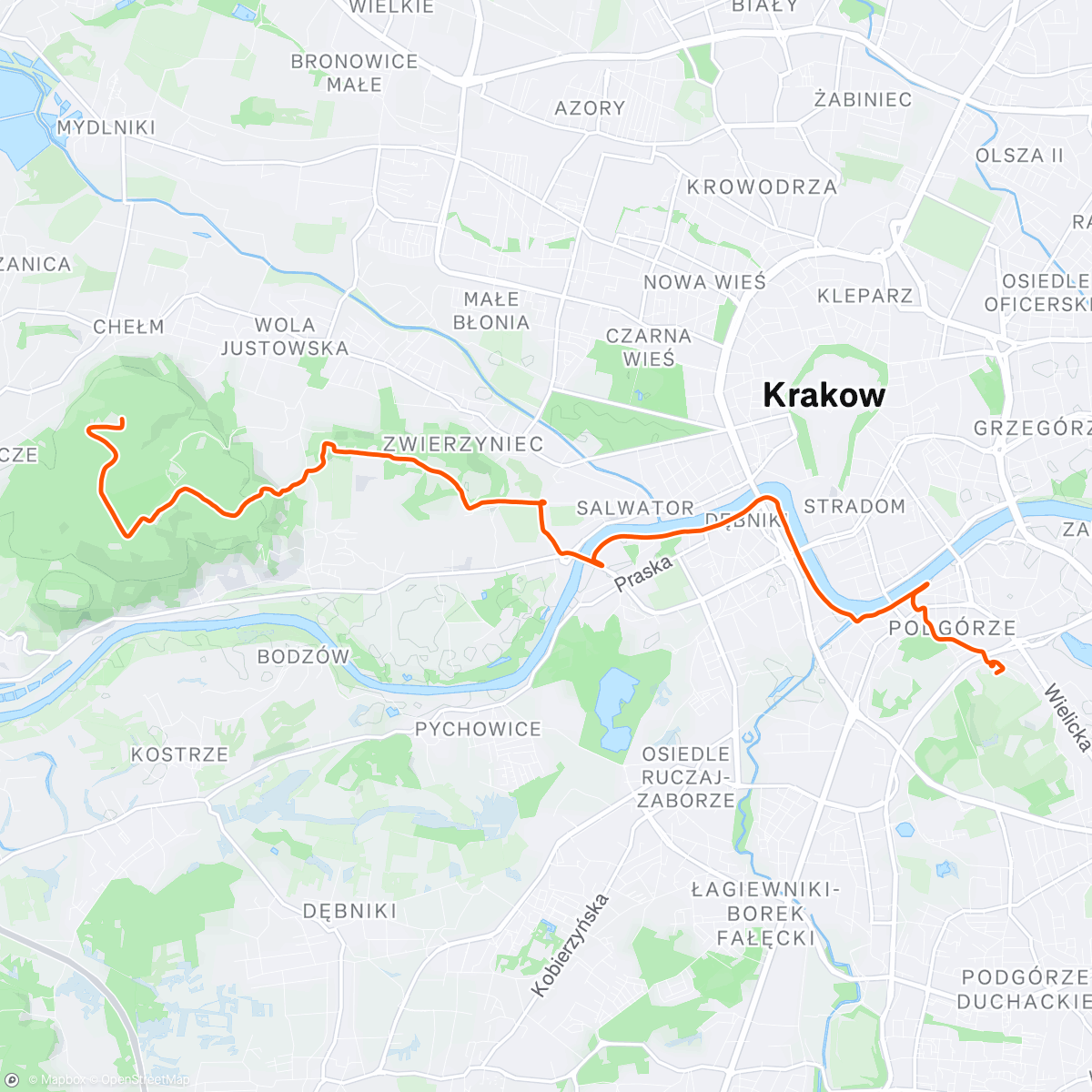 Madzia Giera | Strava Runner Profile