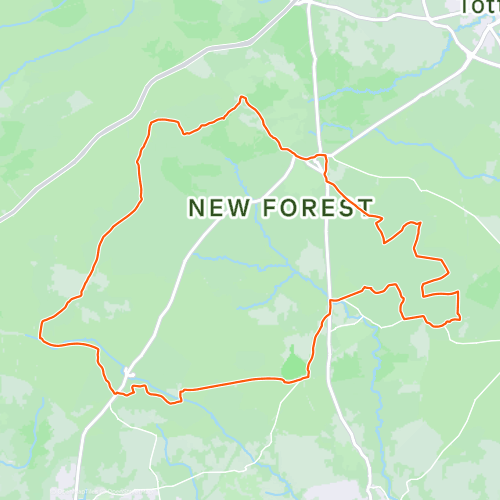 50km New Forest Loop | 50.5 km MTB Cycling Route on Strava