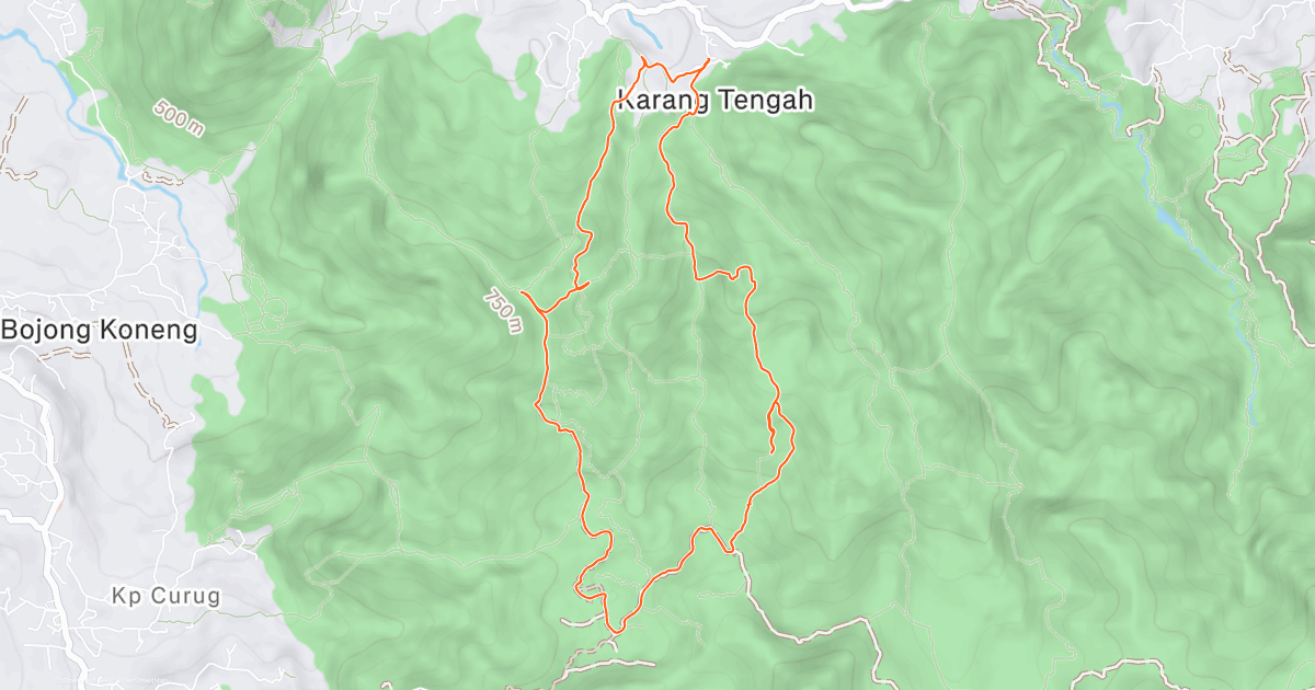 Morning Trail Run | Strava