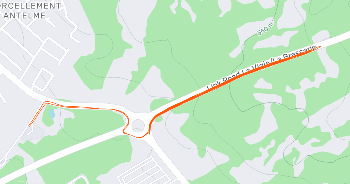 Running: Hill Repeats (200m D+) | Strava