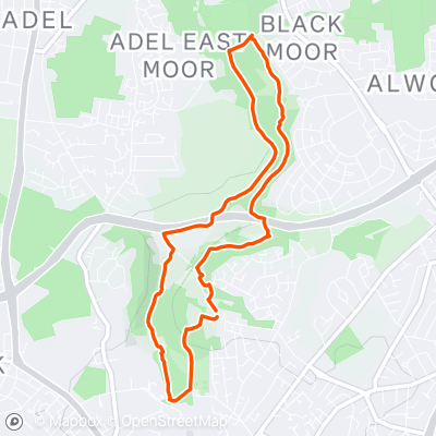 Meanwood Shadwell runners on tour | 7.3 km Running Route on Strava