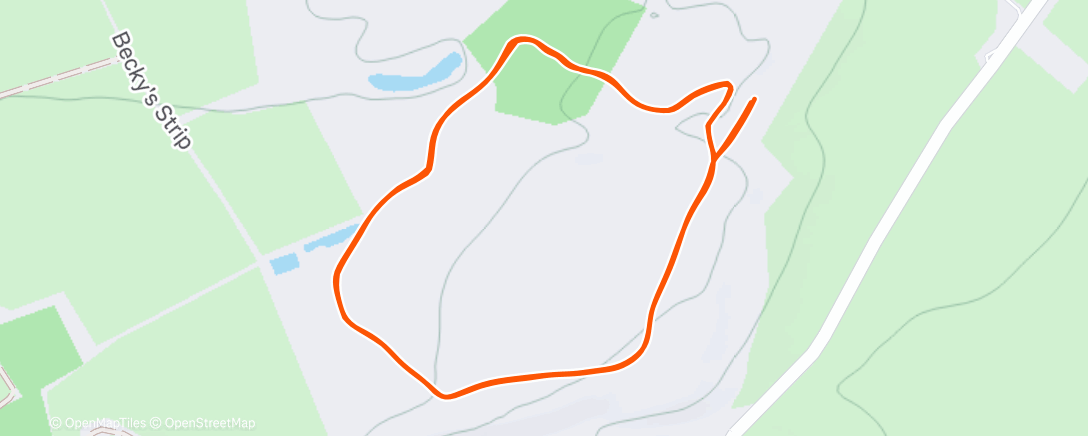 Steven Lauder | Strava Runner Profile