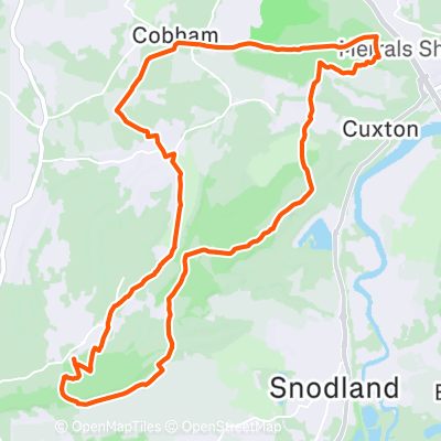 Cobham Woods v3 | 26.4 km Running Route on Strava