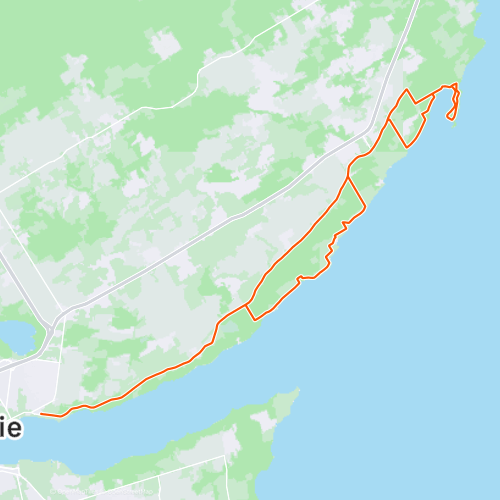 60km Carthew Bay with Loop | 60.7 km Road Cycling Route on Strava